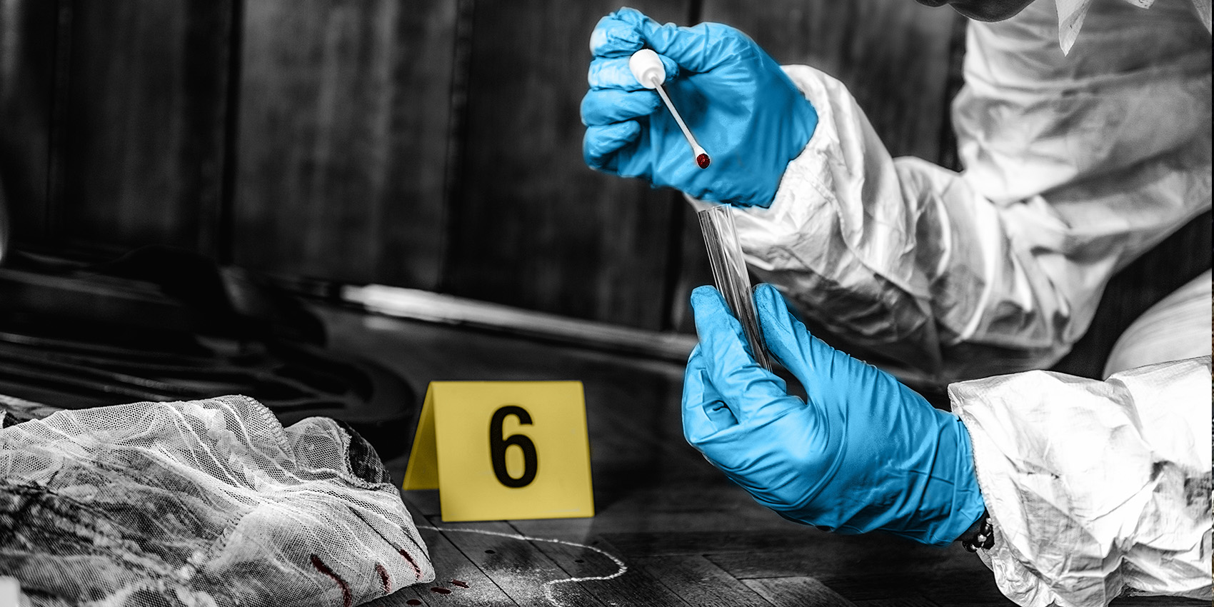 Forensics: The Science of Blood, Body Bags and Biohazards - World ...